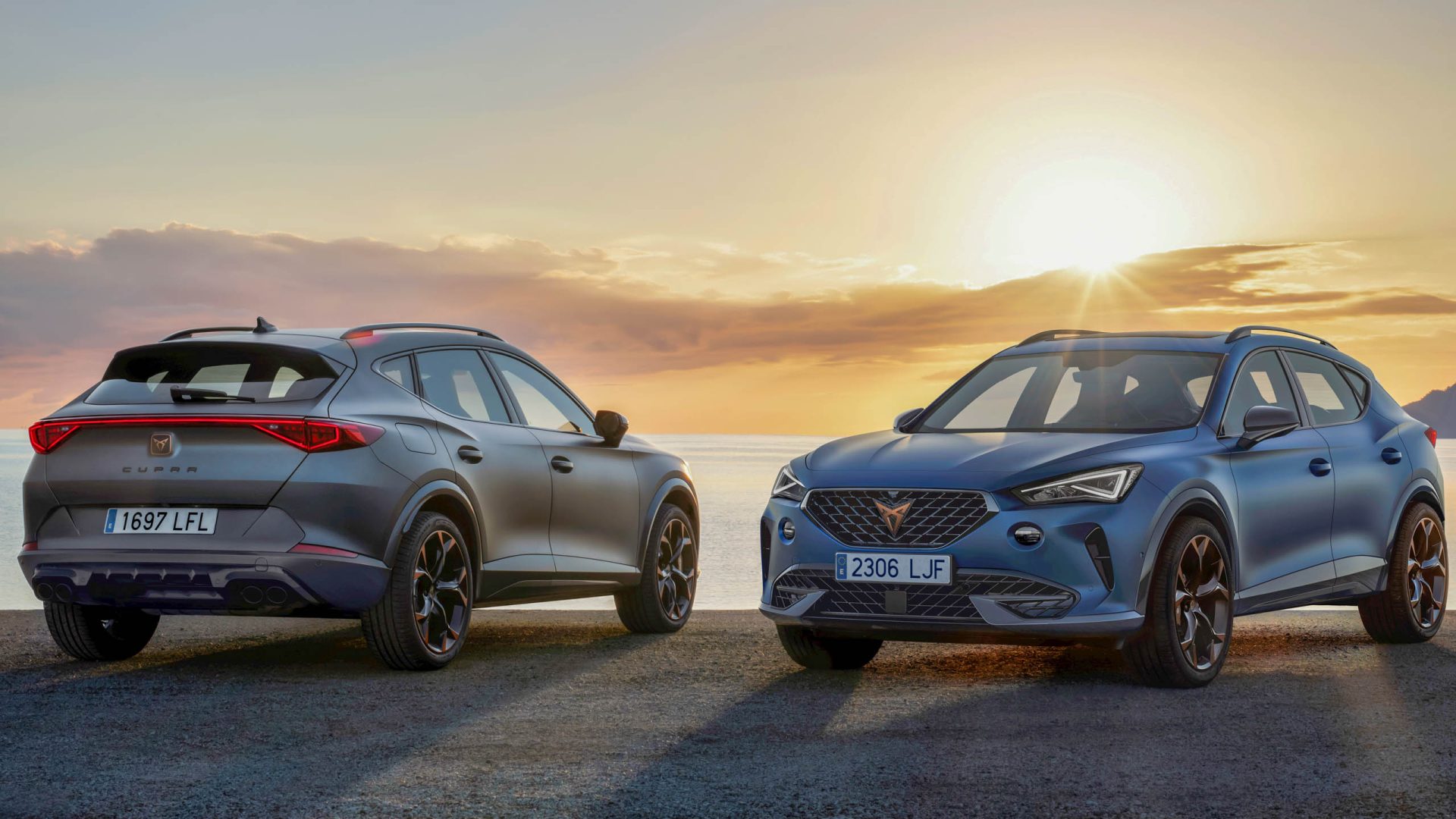 Todos los modelos de Cupra en México tienen un recall o llamado a ...